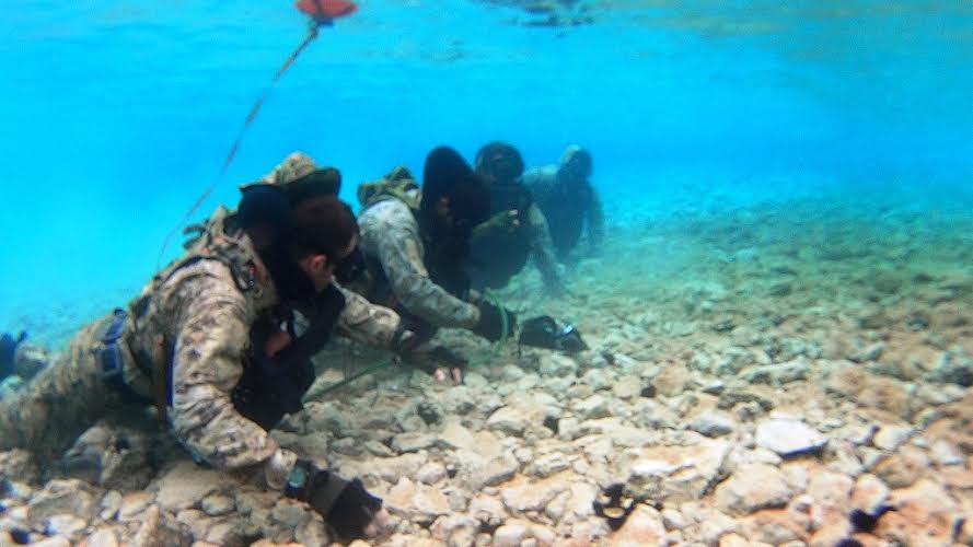 ΑΠΟ ΤΟ ΜΕΓΑΛΟ ΠΕΥΚΟ ΣΤΕΛΝΟΥΝ ΦΙΡΜΑΝΙ ΣΤΑ ΜΕΜΕΤΙΑ ΟΙ ΑΜΦΙΒΙΟΙ ...
