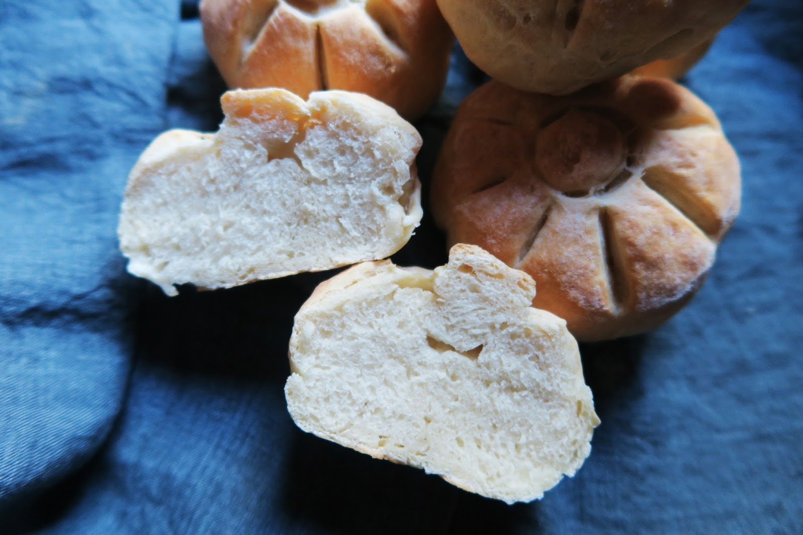 ROSETTE DI PANE (ROSETTE BREAD ROLLS)