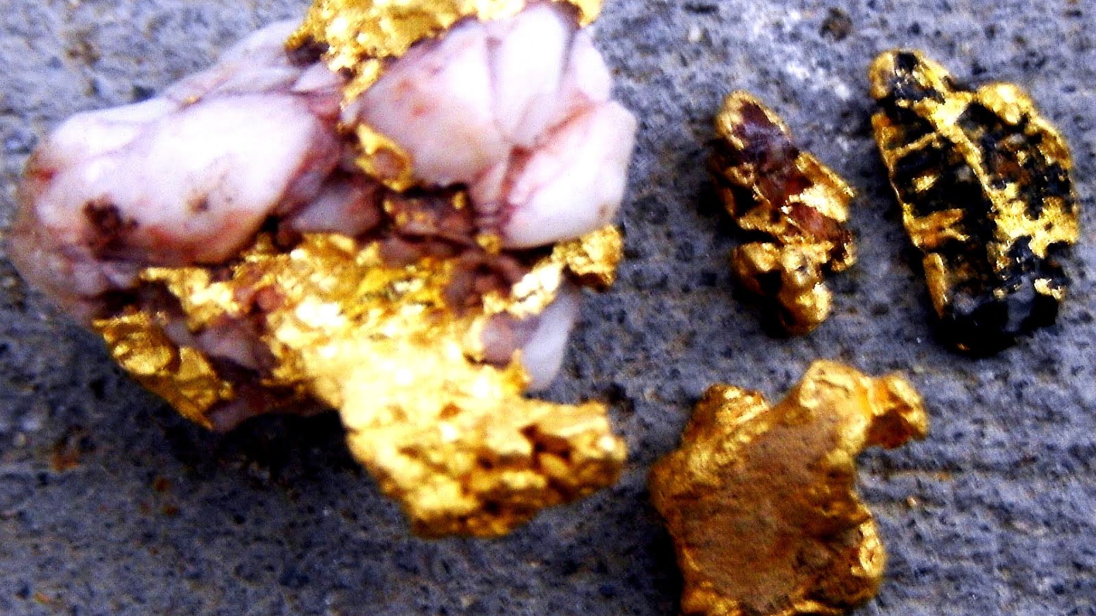 Saddle Ridge Hoard Gold - Gold Choices
