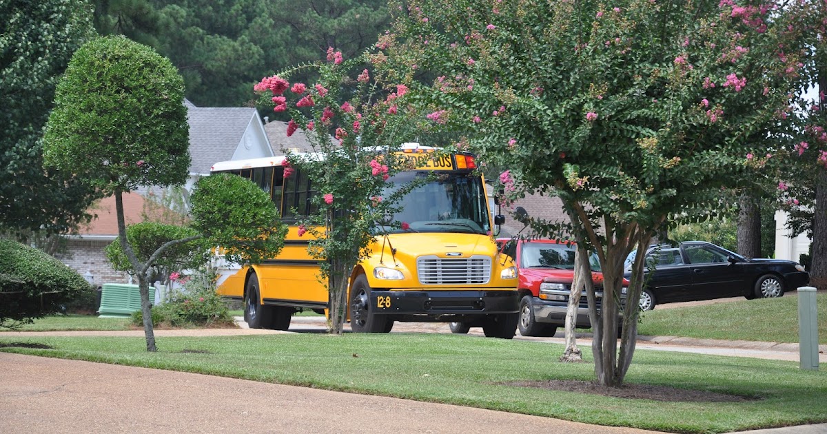 The Hills: First Bus Ride...a Perfect End to a Great Day at School!