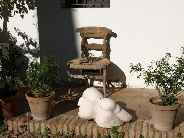 Sevilla Daily Photo: Corral del Conde