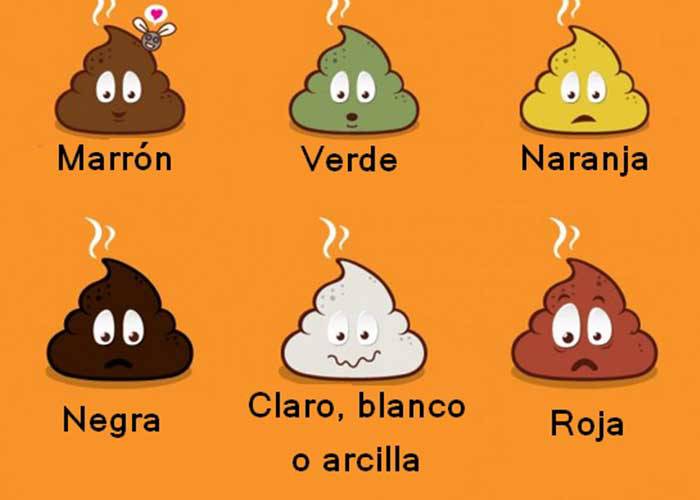 TUS HECES FECALES PUEDEN DECIR MUCHO DE TU SALUD!!! - VIDASANAMUNDIAL