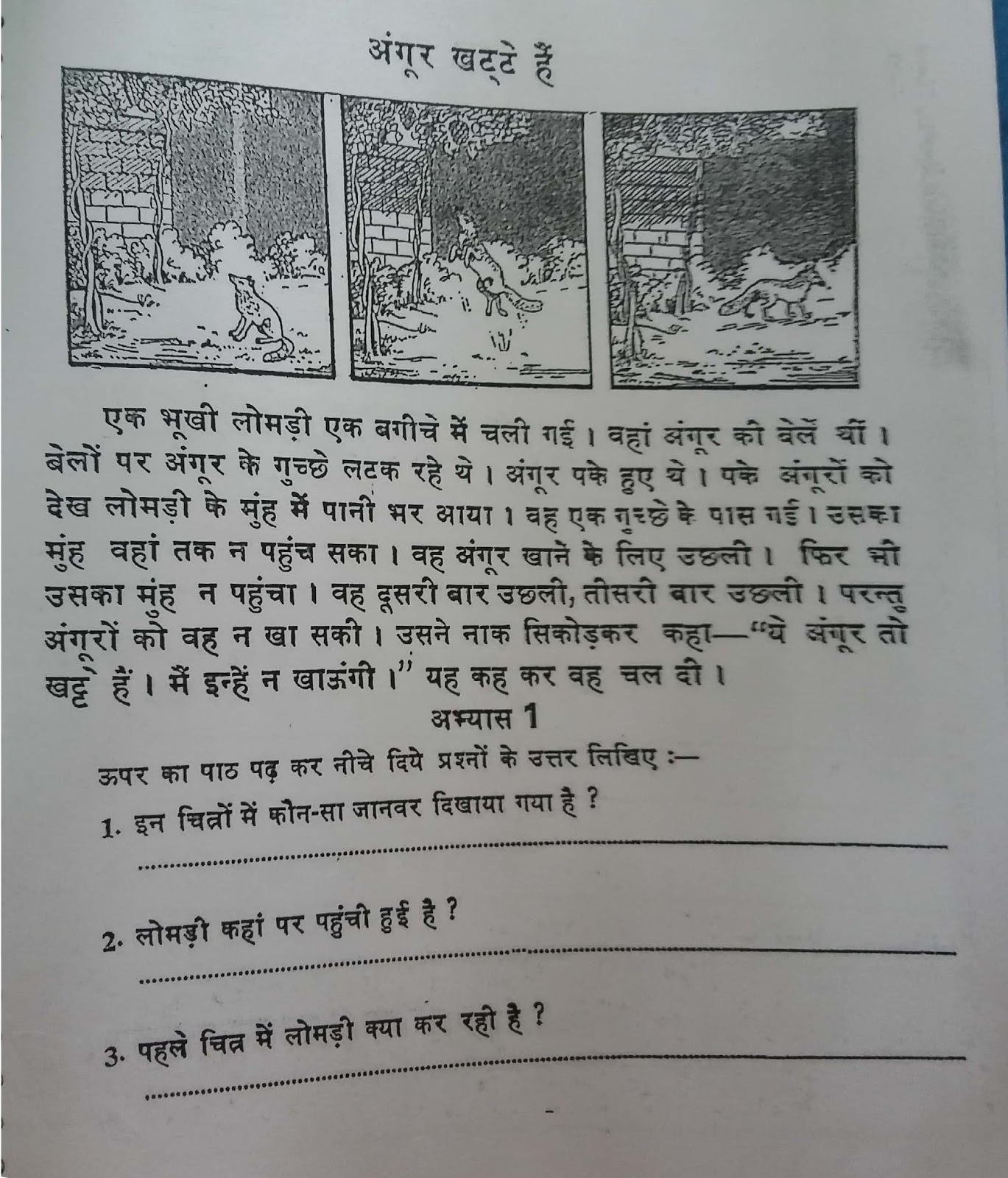 Hindi Grammar Work Sheet Collection for Classes 5,6, 7 & 8: Picture ...