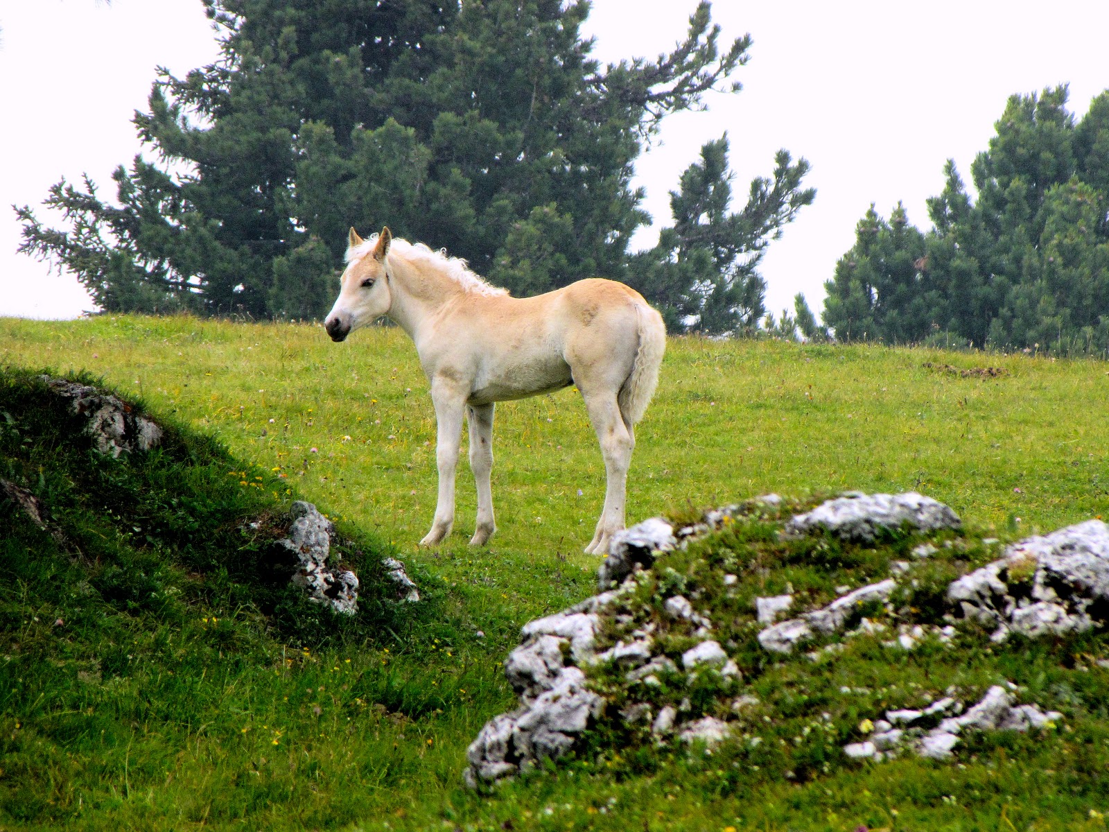 A Spectacular Summer in the Dolomites, the 'Other' Joy of Italy