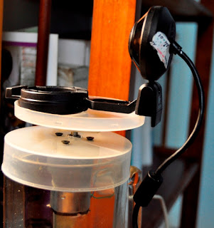 Make it easy!: Raspberry pi - Remote control camera