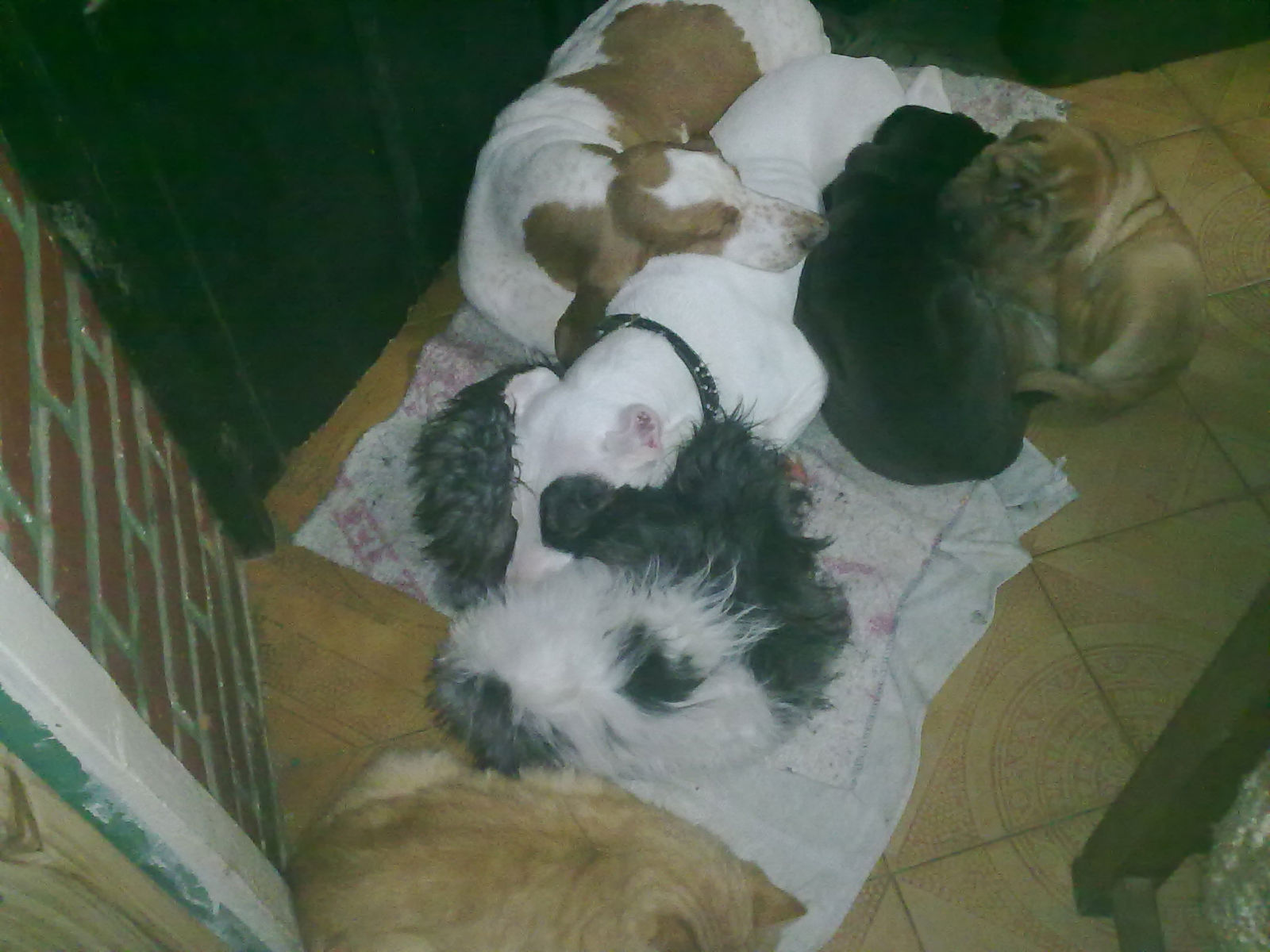 LA CUEVA DE SORGIÑAK: LA CUEVA DE SORGIÑAK