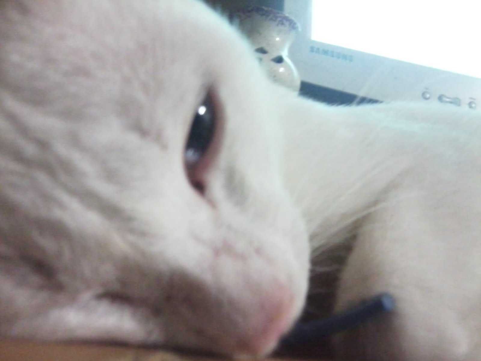 Lady Stapler: August 2011