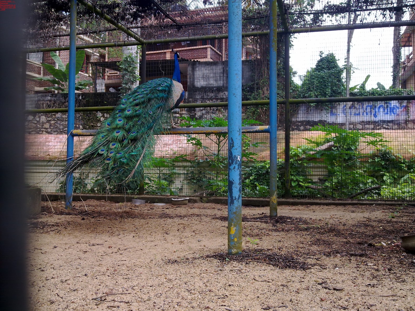 World through the aperture: Ulloor Subramanian Swamy Temple