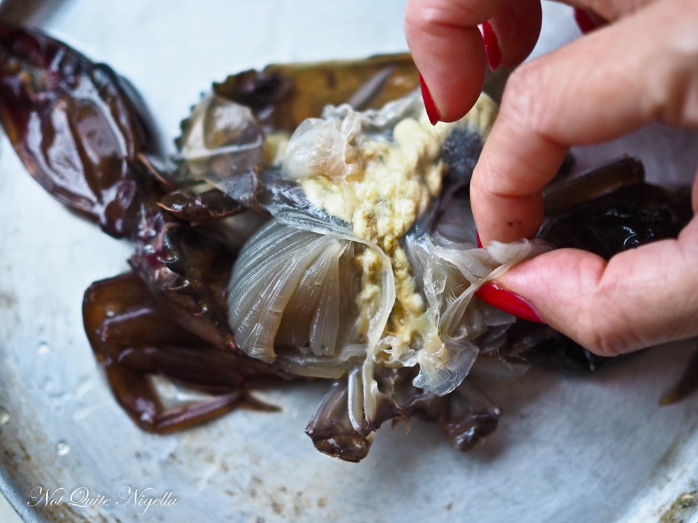 Soft Crab Shell Season - Soft Shell Crab Supplier, Soft Shell Crab ...