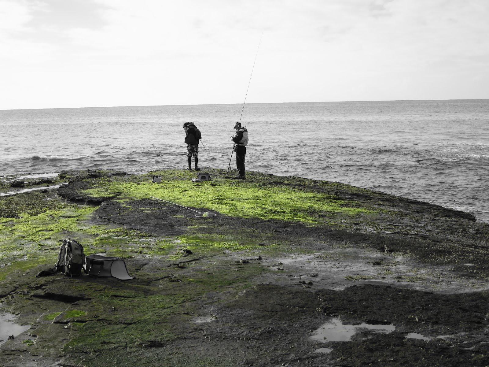 Sydney - Australia: Rock Fishing Sydney