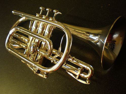 Ecalpemos: My “definitive” guide to the Sovereign cornet