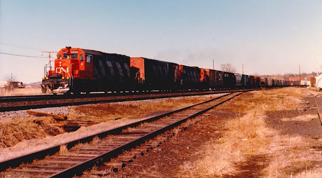 Trackside Treasure: Napanee's Rail-Served Industries
