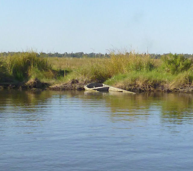 Ms. enPlace: Catfish Divan "down at da camp"