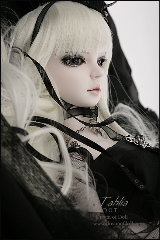 east asian lover: Dream of Doll (DOD)