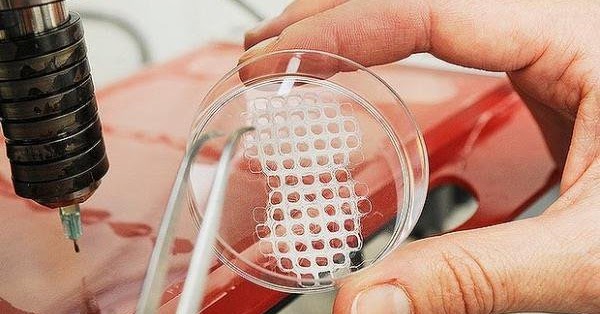 World Congress on Advanced Biomaterials and Tissue Engineering ...