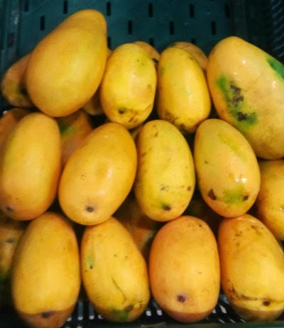 Enjoy Tropicana Slice Alphonso - The King of Mangoes in a bottle