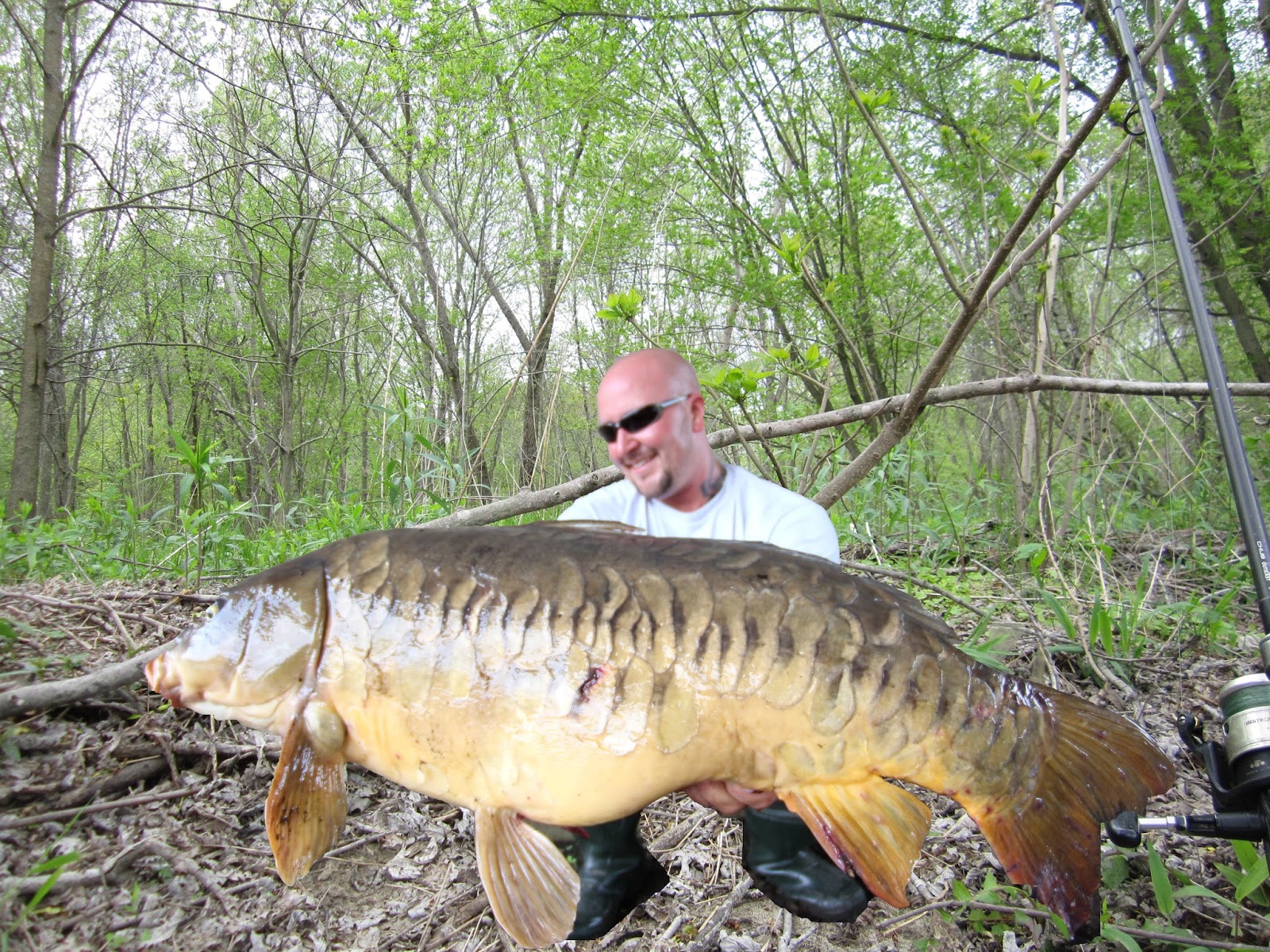Rhode Island Carp Fishing: Another Massive 30 lb. Mirror Landed in RI