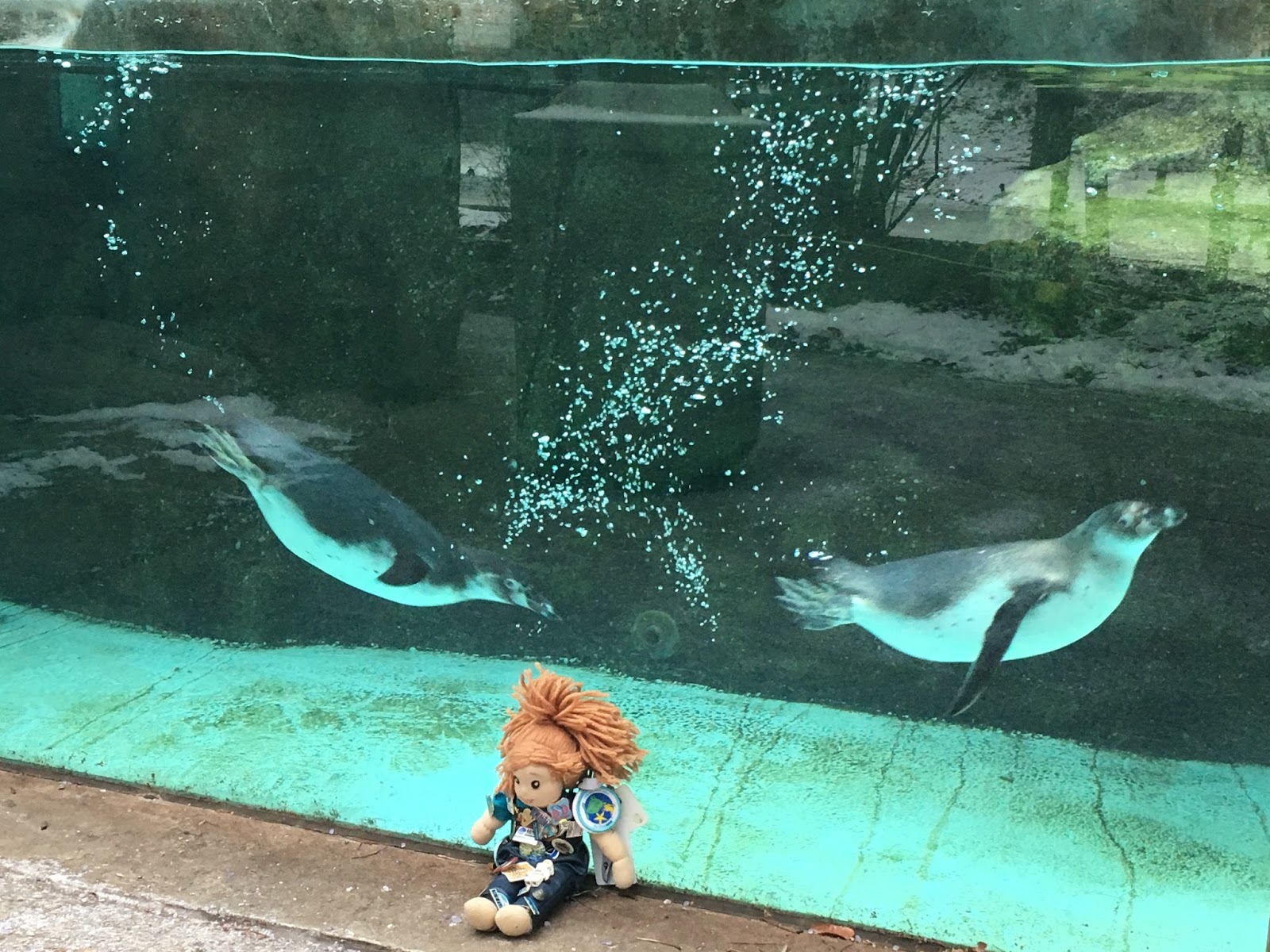 Abby's Aquarium Adventures