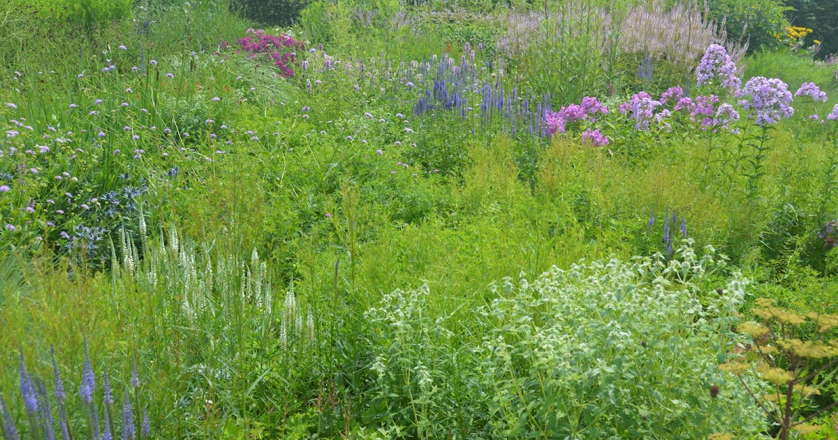 Marc's Gardens: Naturalistic Design