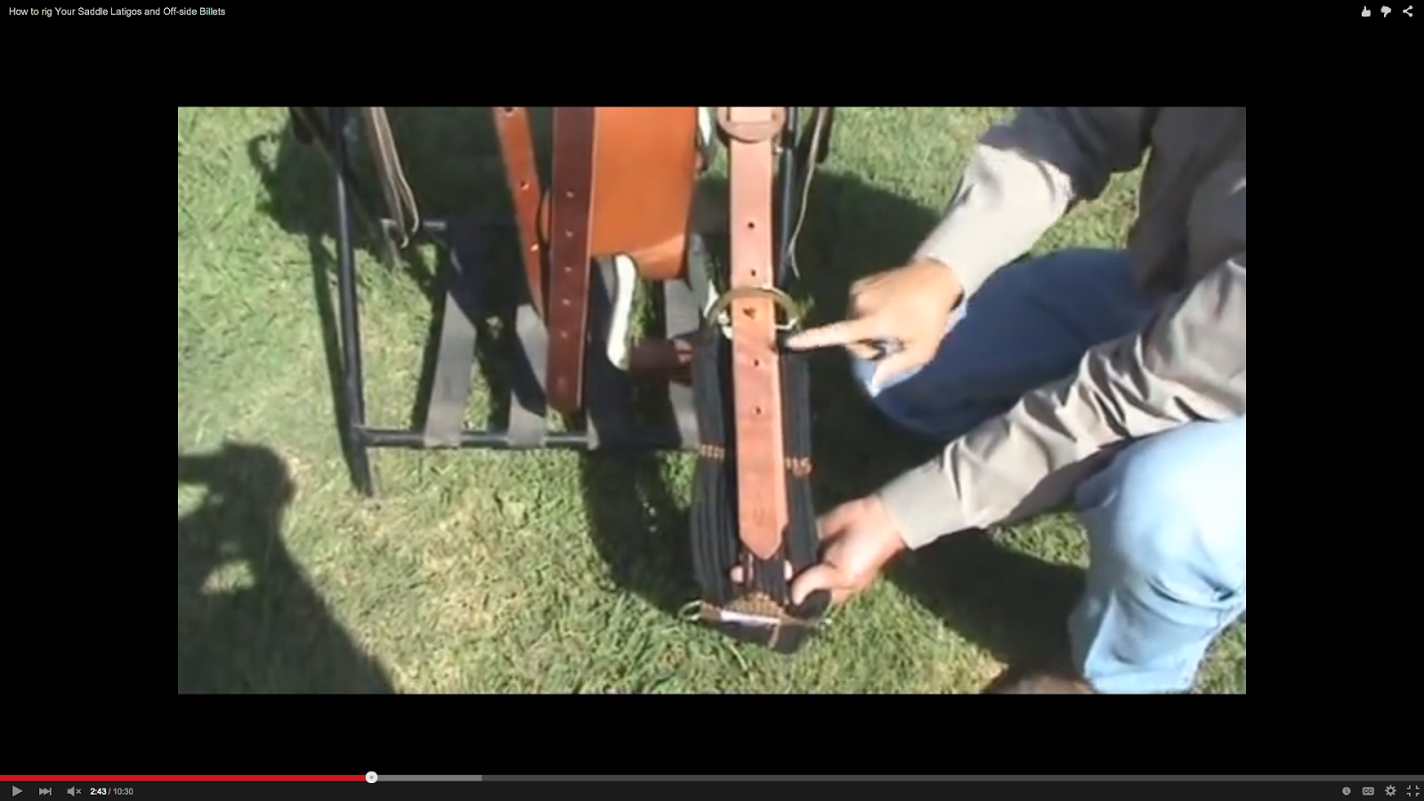 Buckaroo Leather Horse Tack, Use, Care and Maintenance: Leather Horse ...