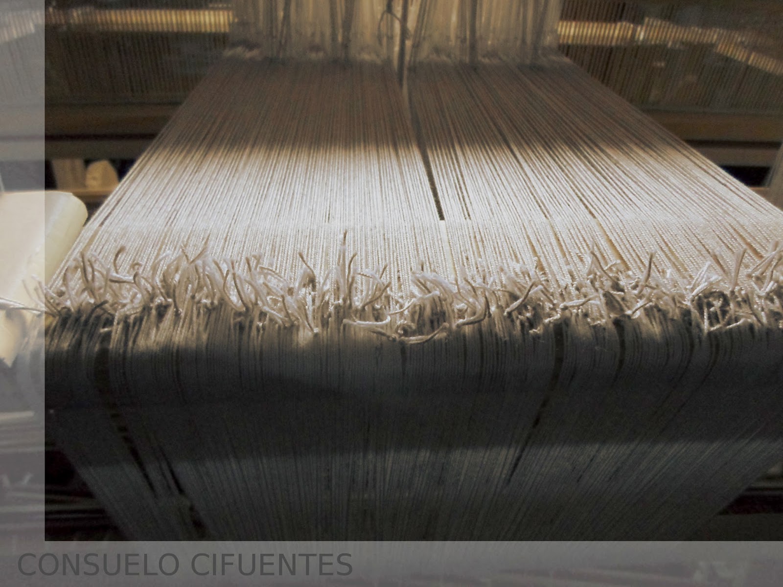 MI ESTUDIO: TECNICA DE URDIMBRES MÚLTIPLES