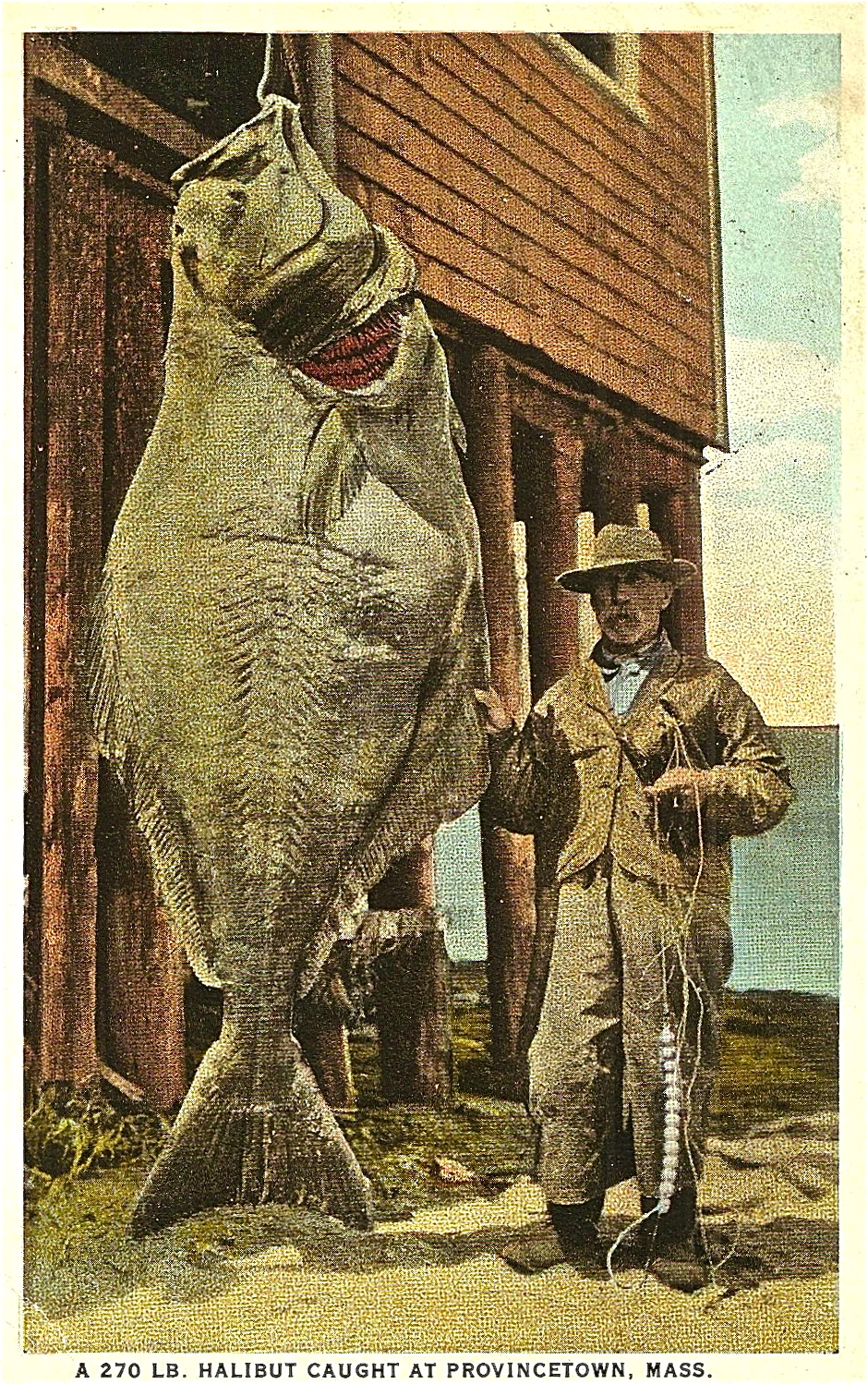 TheYearRounder's Guide to Provincetown: Frank Cook's Big Fish, Caught ...