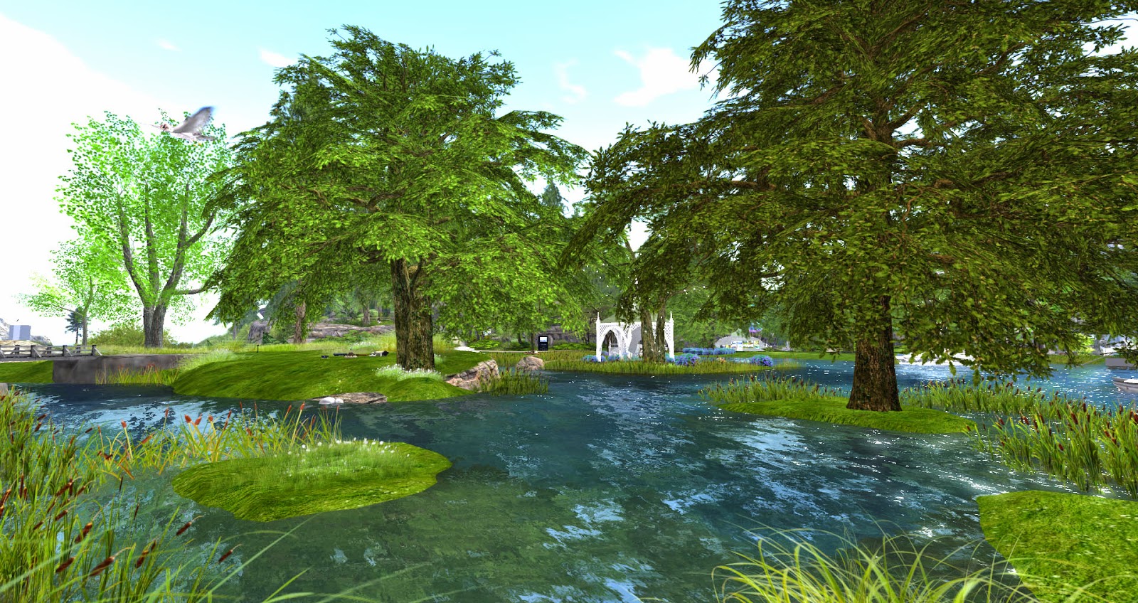 Ad vitam æternam: DIMRILL DALE