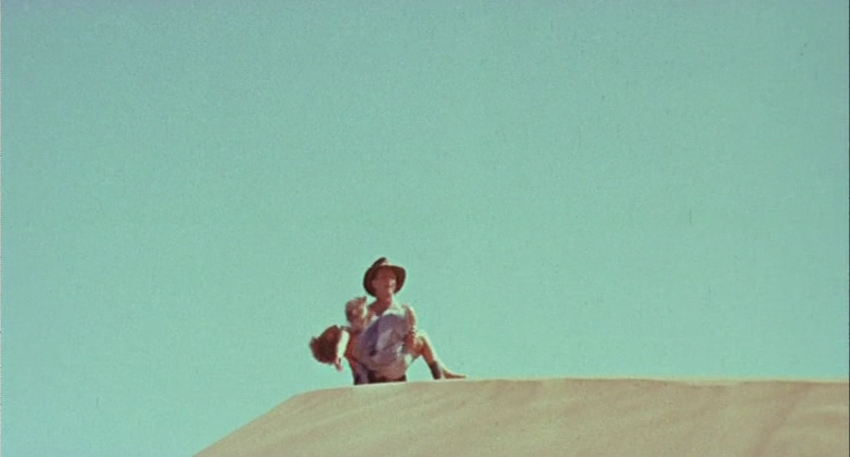 BUTTGUTSx64: DIRKIE AKA LOST IN THE DESERT (1969)