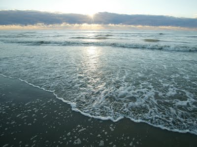 Marea Neagra: Continutul de sare