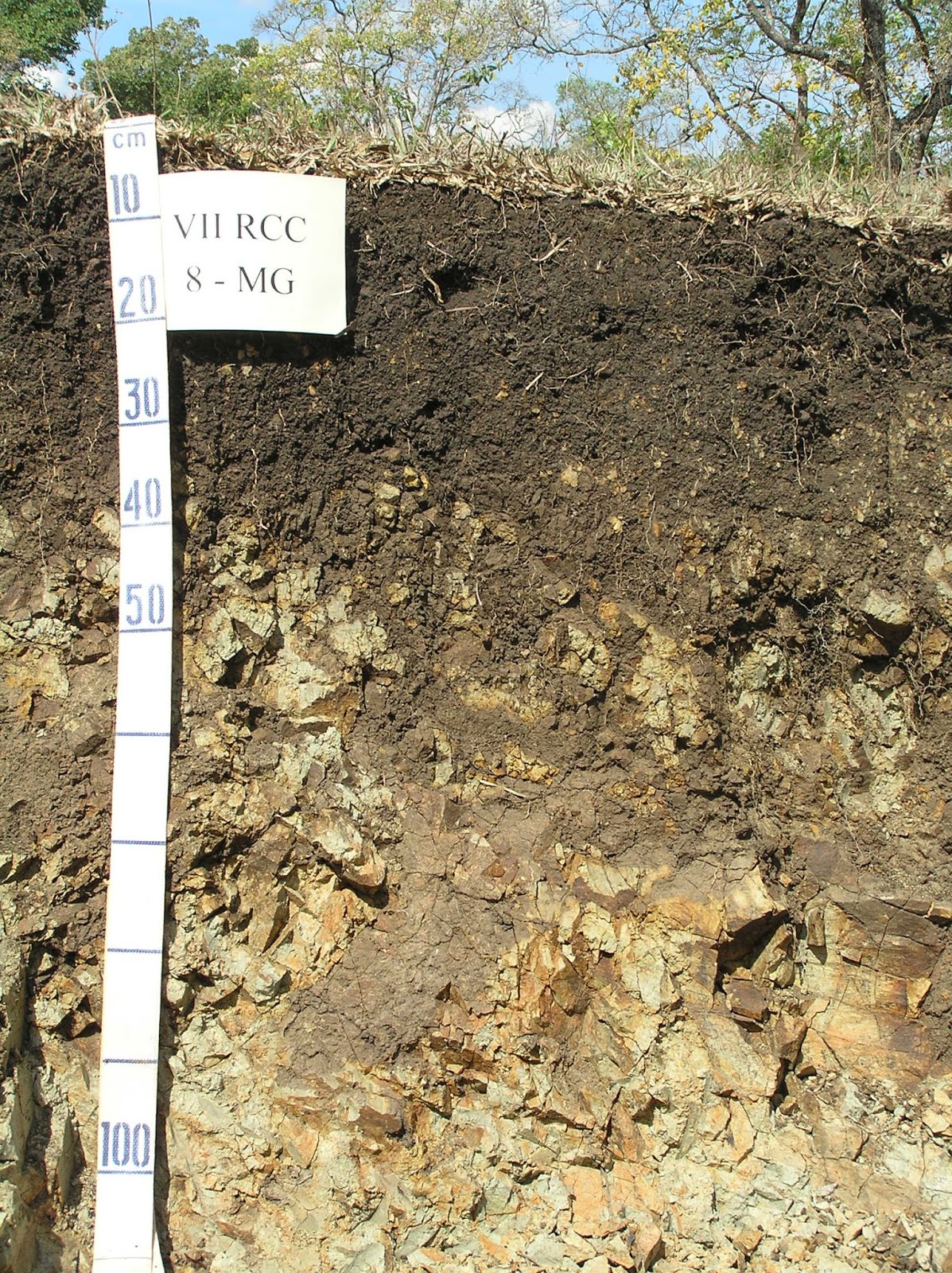 cambissolos - wood scribd braxin