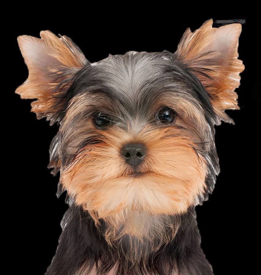 Book Readers Heaven: The Thing Is... So Wonderfully Created By Kathleen ...