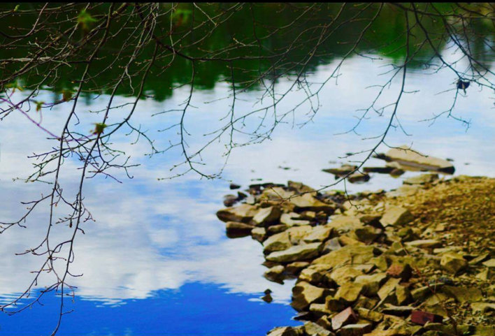 Sweet Arrow Lake County Park - Photos: 2017