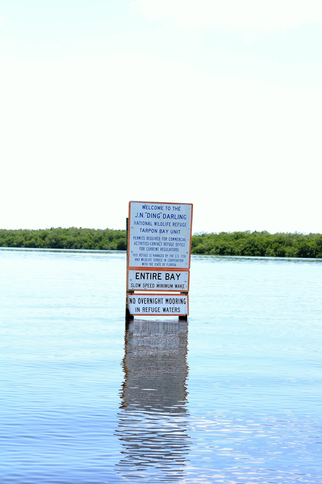 Kids Travel Guide: Sanibel Island | Tuesdays with Jacob