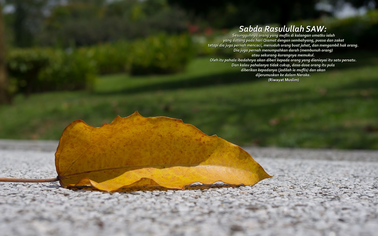 Muflis di Akhirat | KESURI