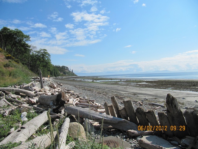 The Comox Valley - A Pictorial View: Town of Comox - Beaches