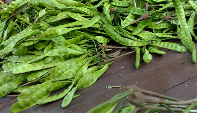 Sambal Tumis Sotong Petai Padi