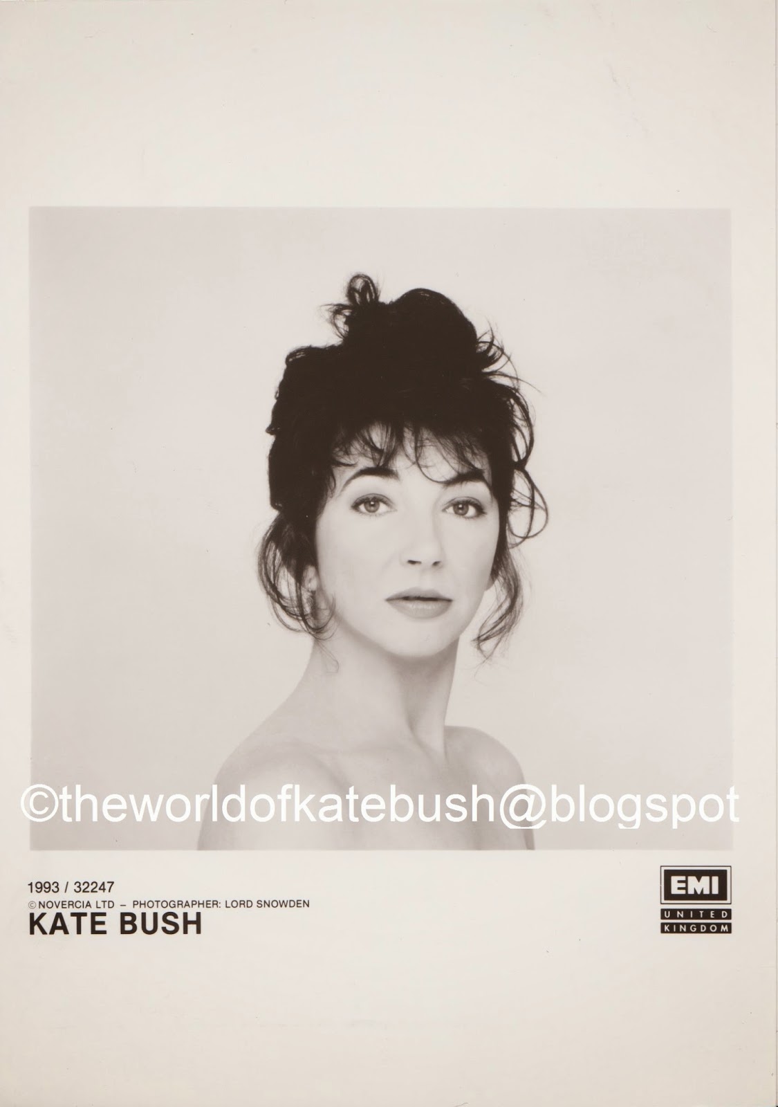 THE WORLD OF KATE BUSH: Promotional Publicity Photographs