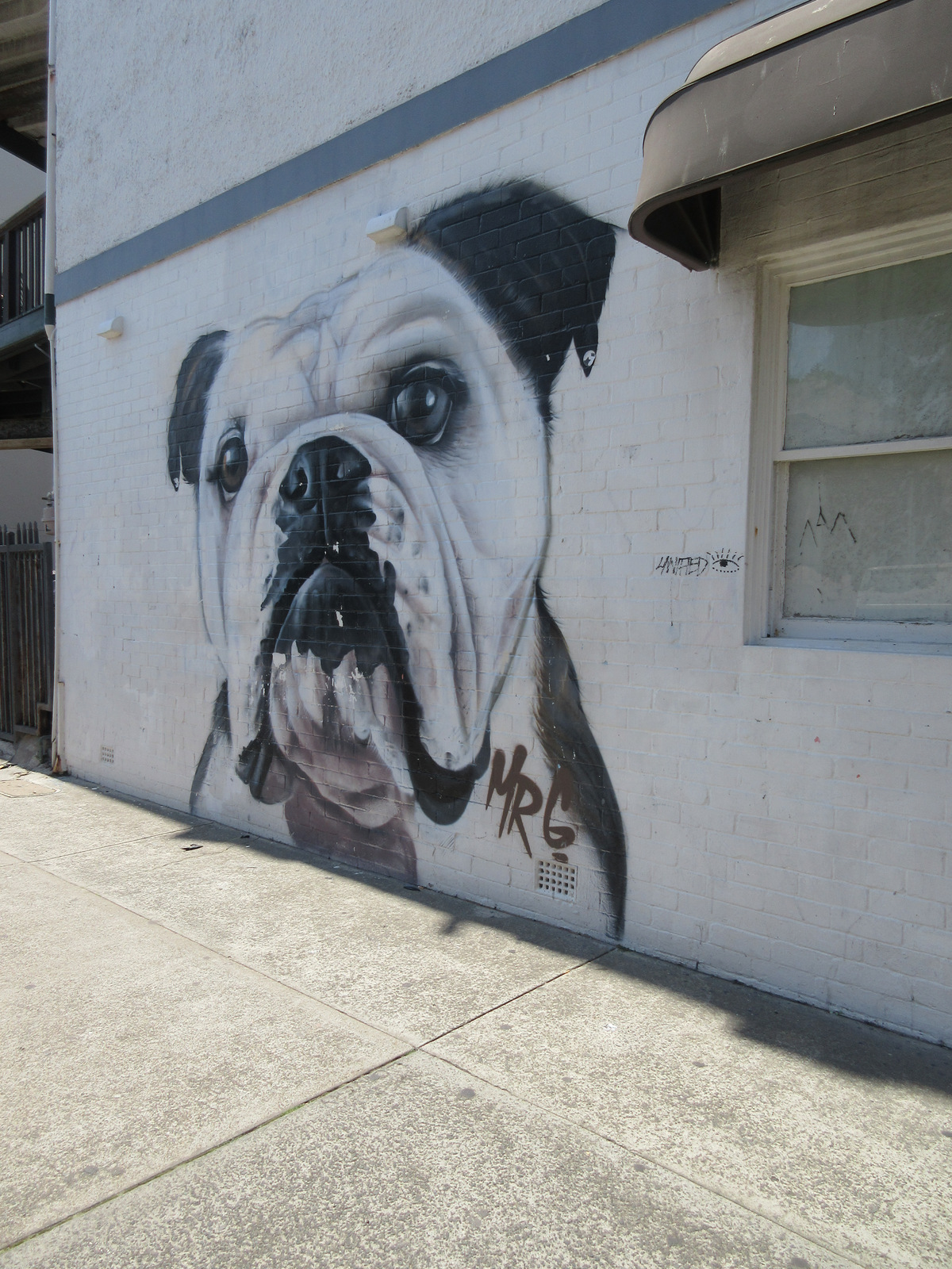 COLOURFULWORLD: Monday Mural - The bulldog