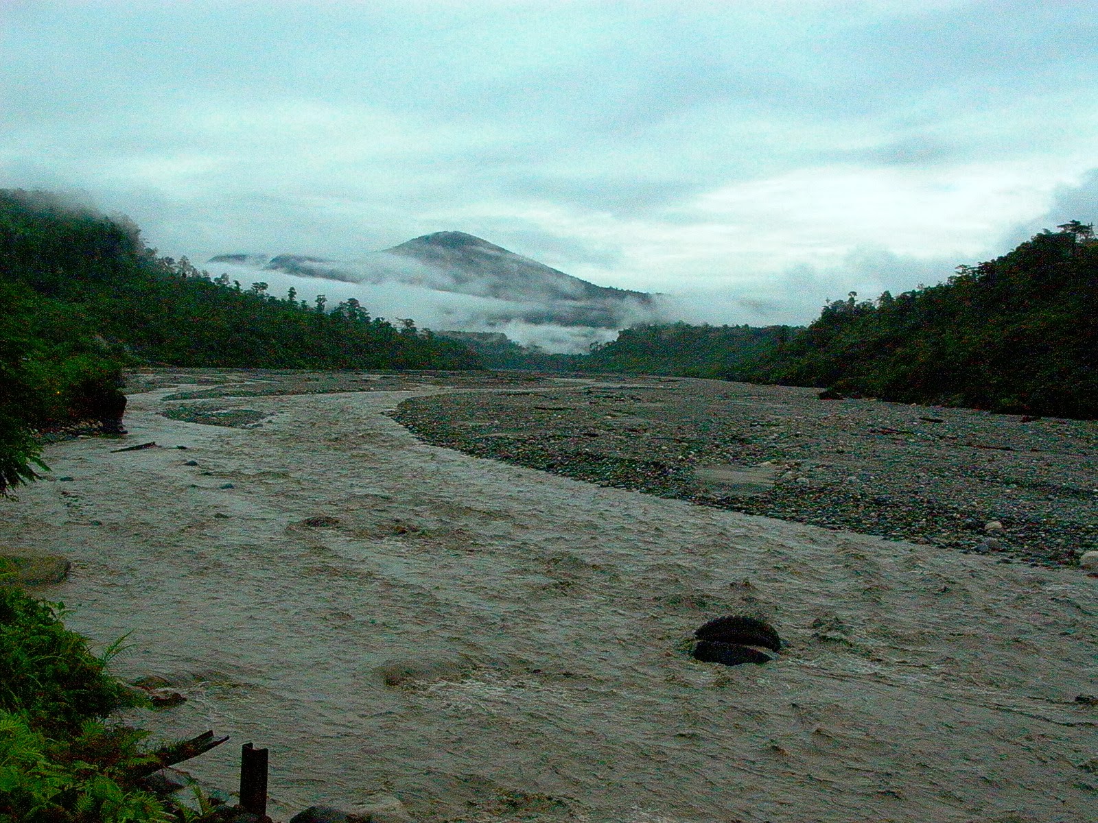 birding never sleeps: PAPUA NEW GUINEA June 2004 (Part 2: Tabubil and ...