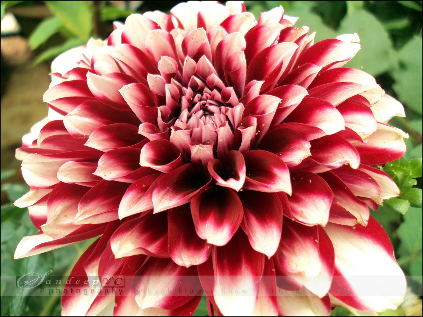 Karnataka Travelogue, blended with Photologue-Travelogue-Infologue ...