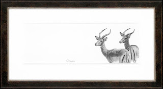 Clive Meredith Wildlife Art: Newly framed pencil drawings