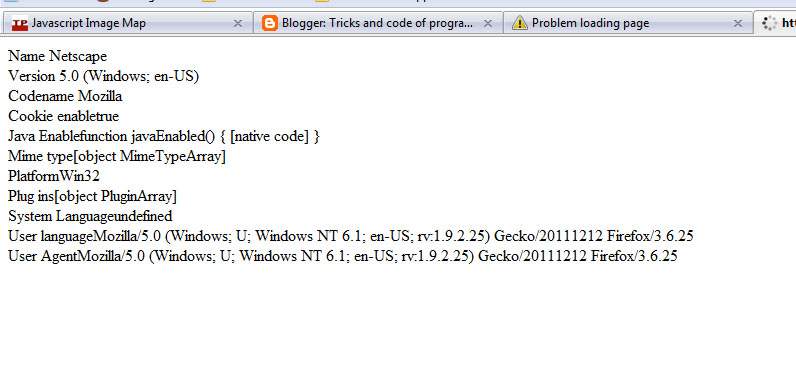 Talk In Computer Language Display Browser Information Using Javascript