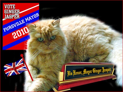 Angel Ginger Jasper: Our tribute : Farewell our beautiful sweet boy xxxxx