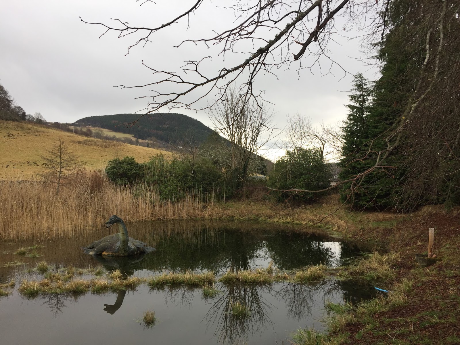 4143: Loch Nessin hirviö