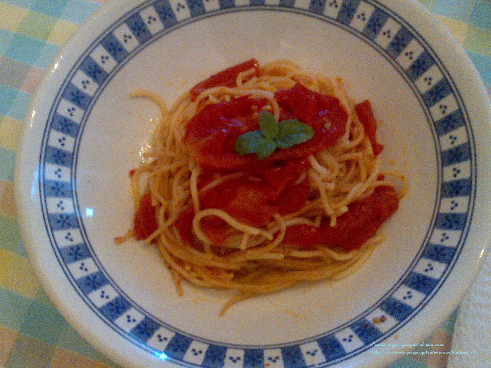 Cucina vegan spiegata al mio cane: Spaghetti alla Scout