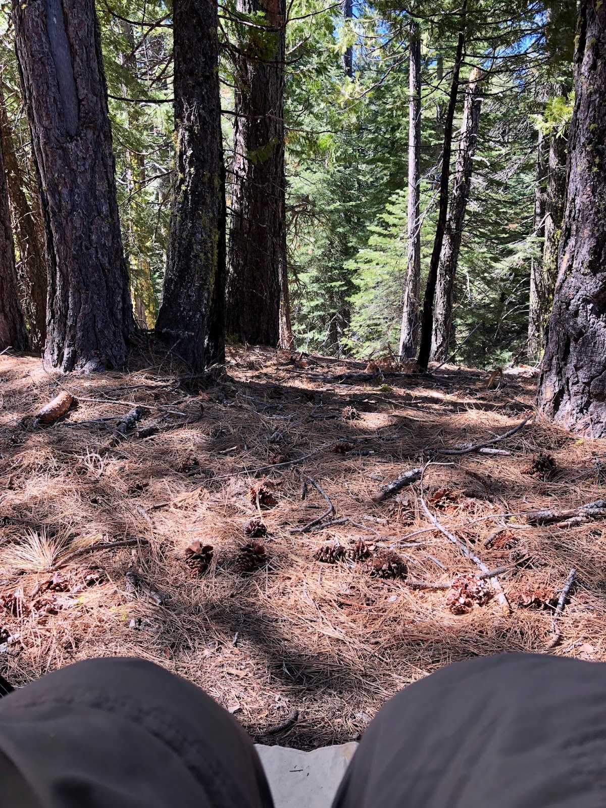 Crystal Basin Boondocking - Memorial Day 2020