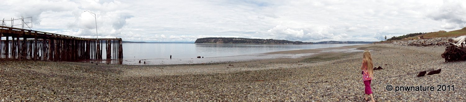 Chambers Bay Beach in University Place -- the North Beach