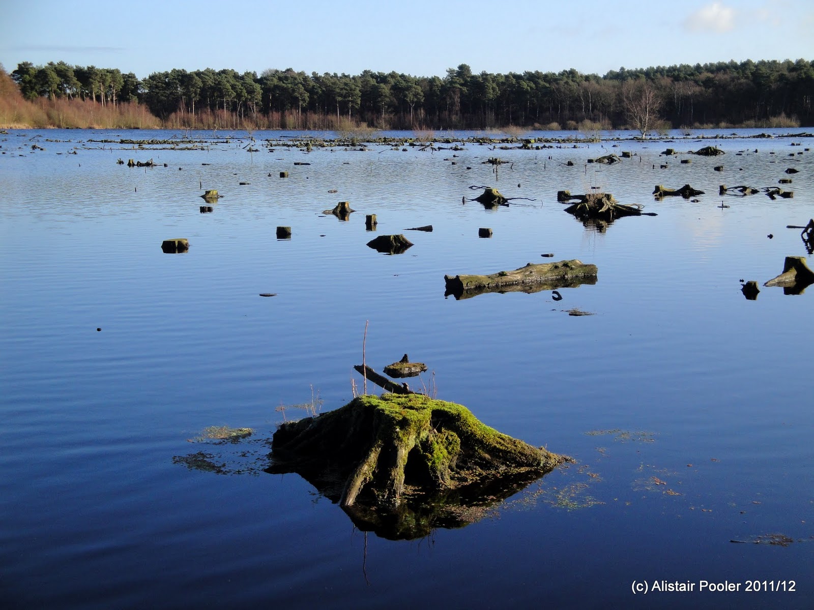 Alistair's Walks: A Circuit of Blakemere Moss