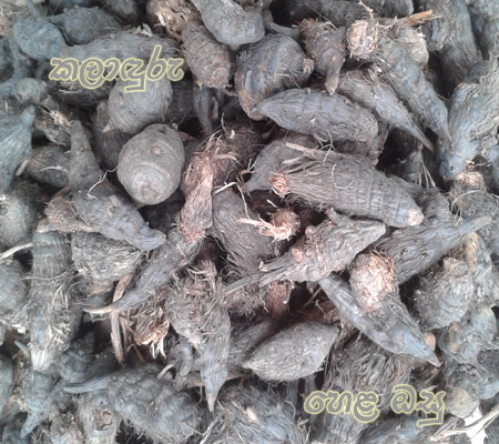 Hela osu: කලාඳුරු (kaladuru)