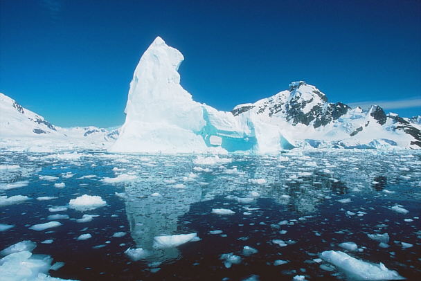 Biogeografia: GLACIACIÓN